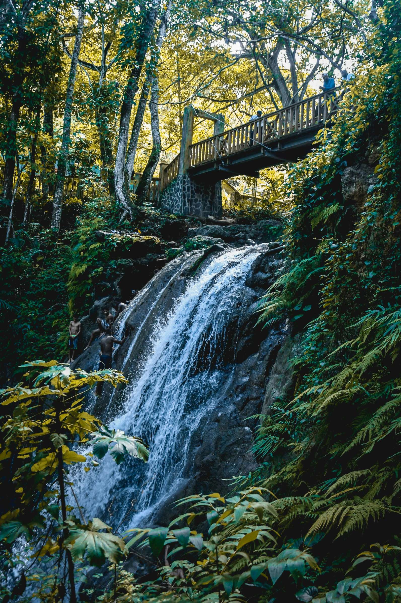 falling waters state park camping: Site Map & Tips - Explore Gears